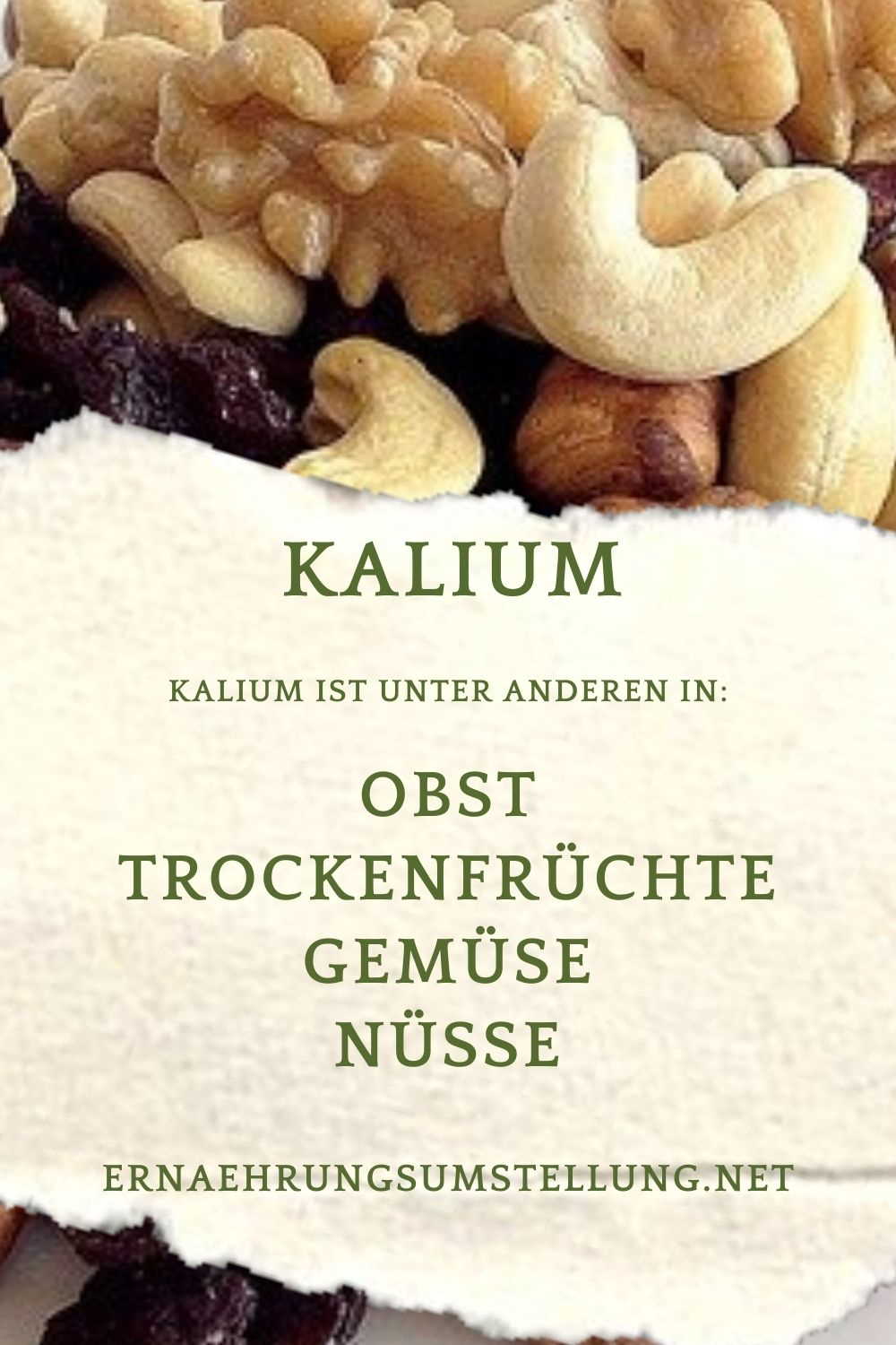 Erfahren Sie alles über Kalium | Ernährungs-Lexikon